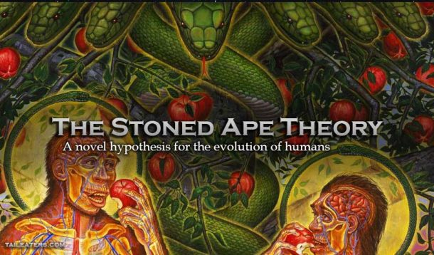The Stoned Ape Theory Hypothesis Of The Evolution Of Humans Taileaters